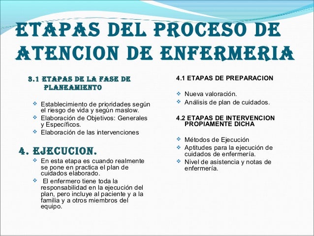 Proceso De Atencion De Enfermeria 2010