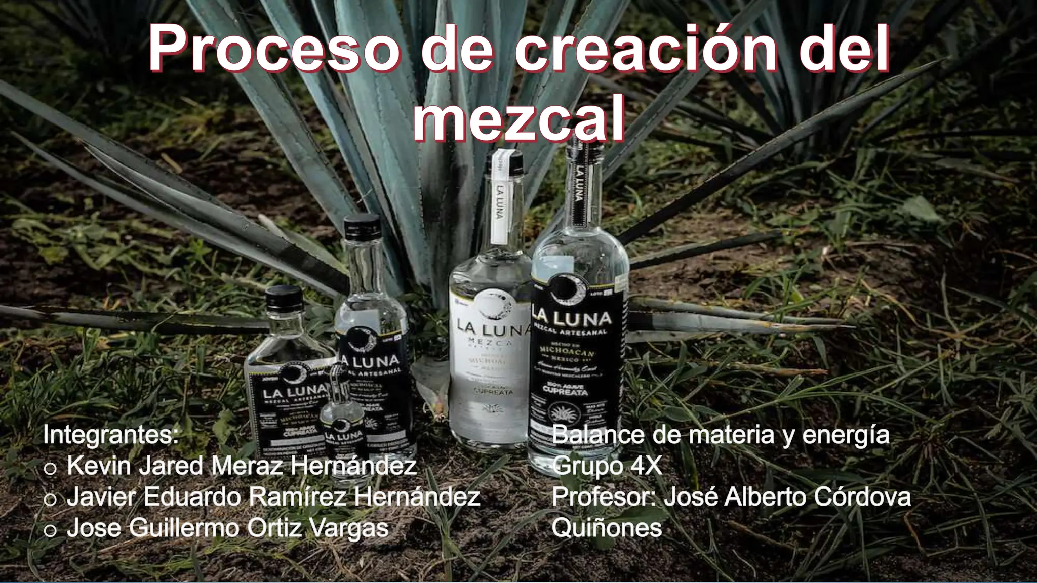 Proceso de elaboracion del mezcal Mexico | PPTX