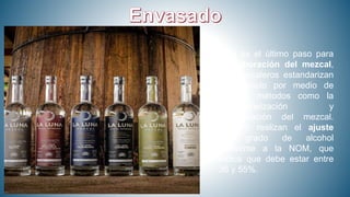 Proceso de elaboracion del mezcal Mexico | PPTX