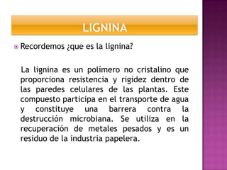 Estructura De La Lignina En La Planta