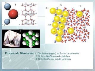 Proceso de disolución | PPTX