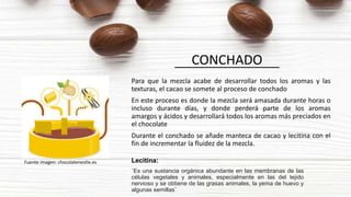 Proceso de elaboración de chocolate (1).pptx