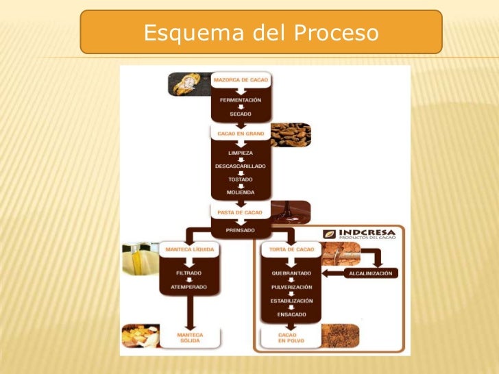 Proceso de elaboración del chocolate