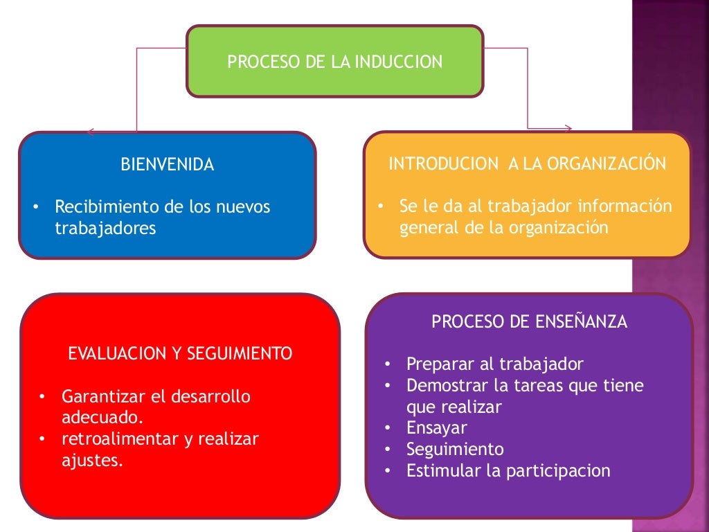 Proceso de induccion,, Proceso de induccion,,