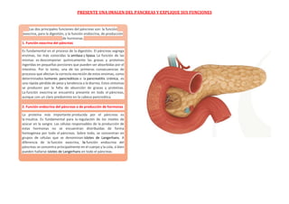 Proceso de la digestion higado, pancreas, funciones | PDF