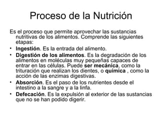 Proceso De La NutricióN | PPT
