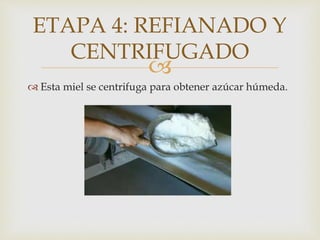 Proceso del azucar | PPTX