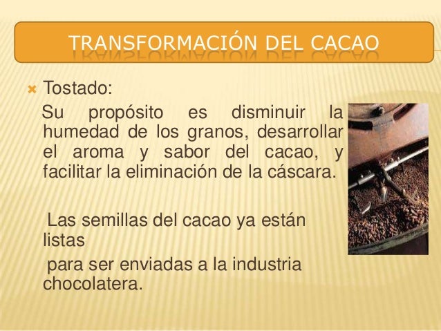 Como Se Elabora El Chocolate : Historia del chocolate: origen ...