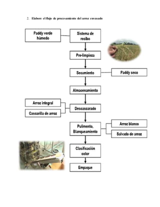 Proceso de pilado de arroz | DOCX