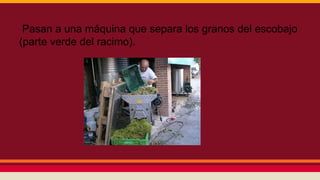 Proceso de producción del vino | PPTX
