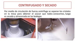 Proceso de produccion de azucar torre evaporativa-aqp | PDF