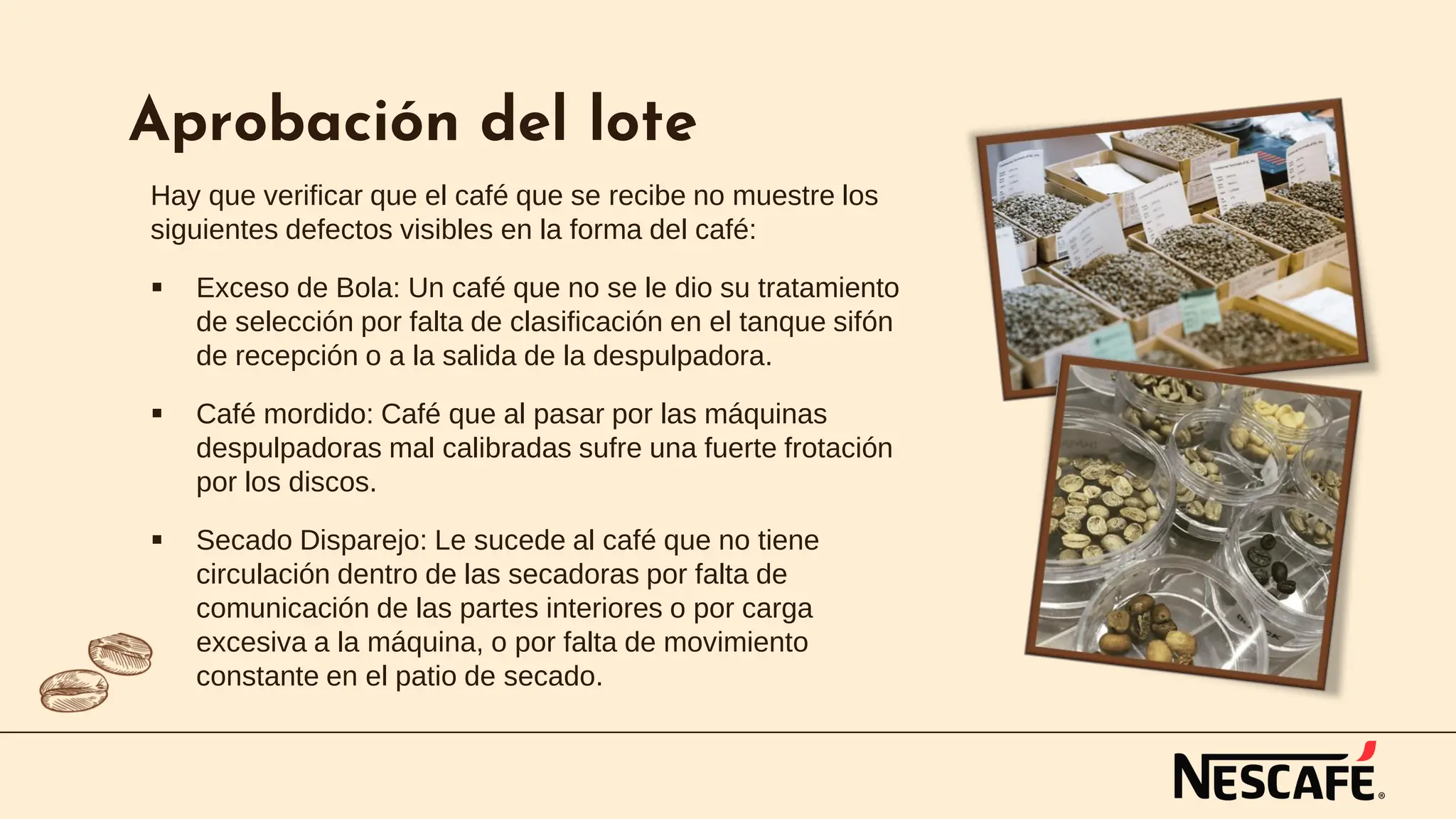 Proceso de produccion de Nescafé - Nestlé | PDF