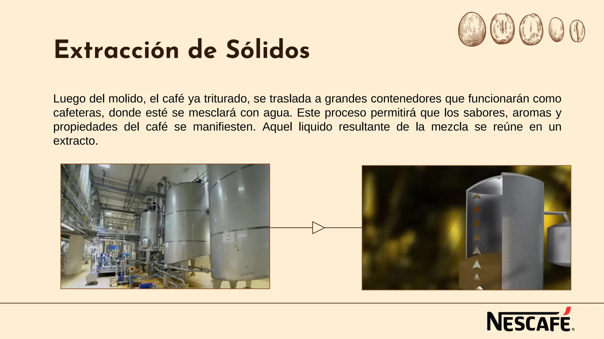 Proceso de produccion de Nescafé - Nestlé | PDF