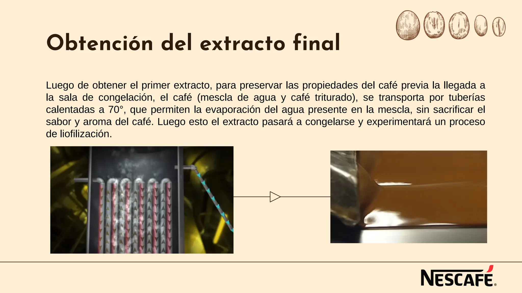 Proceso de produccion de Nescafé - Nestlé | PDF