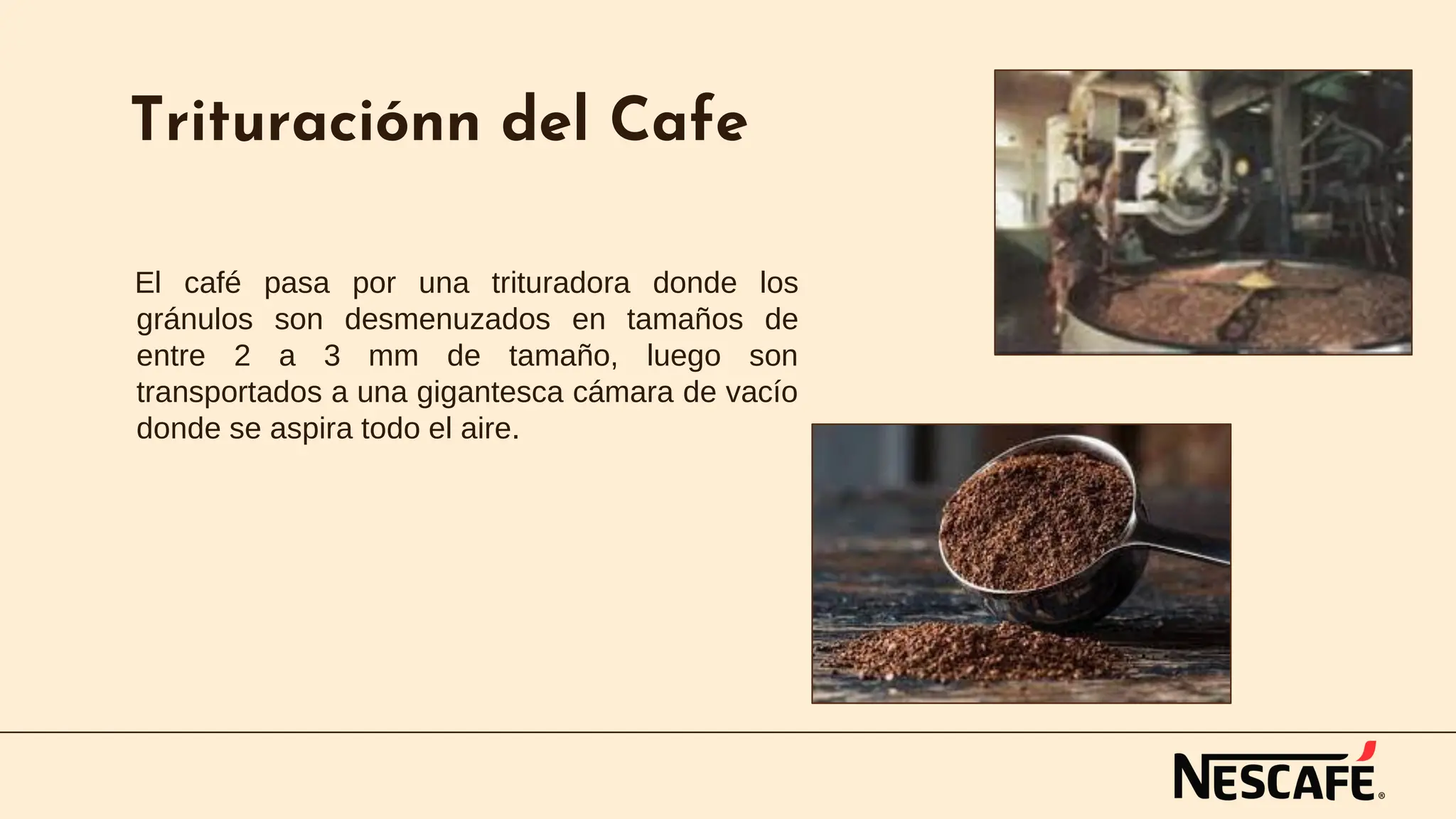 Proceso de produccion de Nescafé - Nestlé | PDF