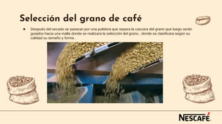Proceso de produccion de Nescafé - Nestlé | PDF