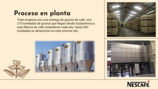 Proceso de produccion de Nescafé - Nestlé | PDF