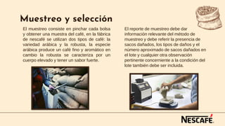 Proceso de produccion de Nescafé - Nestlé | PDF