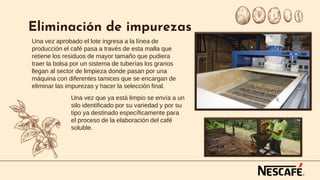 Proceso de produccion de Nescafé - Nestlé | PDF
