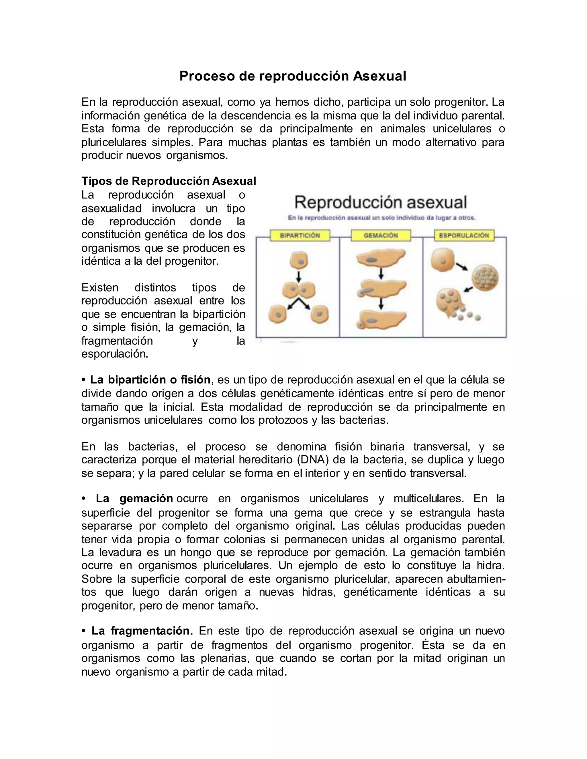 Proceso de reproducción asexual | PDF
