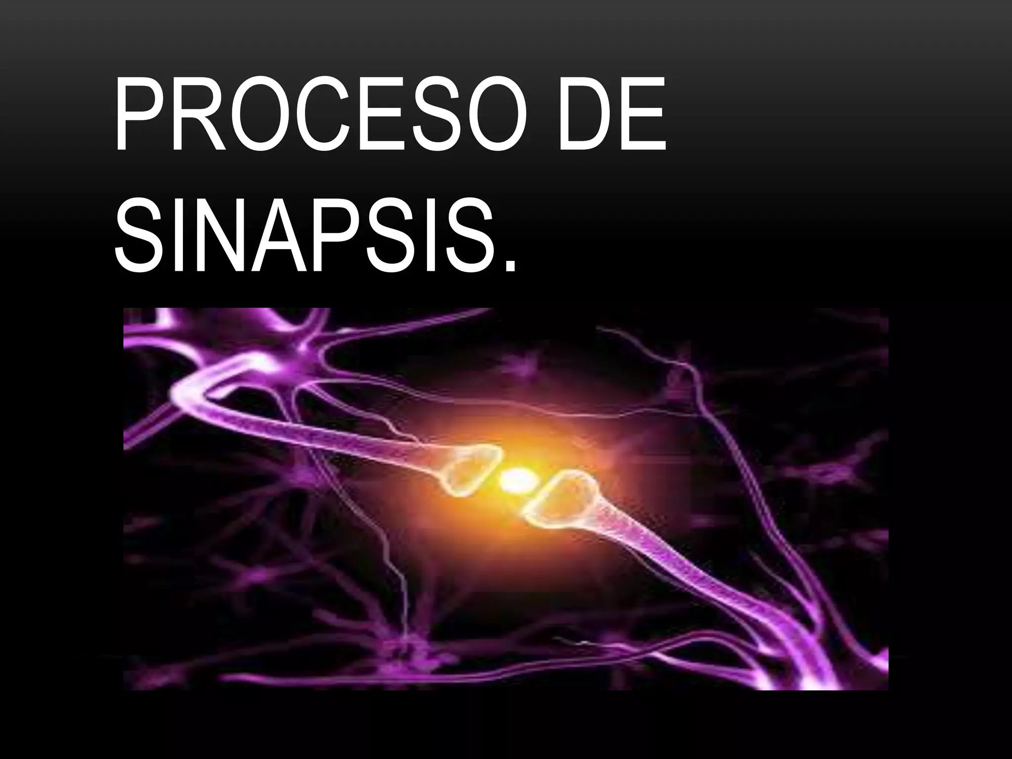 Proceso de sinapsis 2