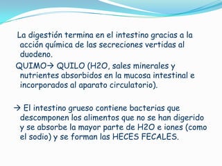 Proceso digestivo en vertebrados | PPTX