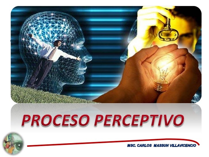 TOMA DE DECISIONES : PROCESOS PERCEPTIVOS Y TOMA DE DECISIONES