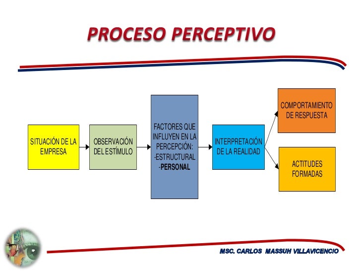 Conjunto Perceptivo