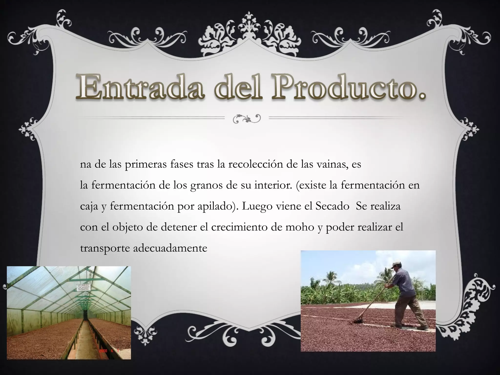 Proceso productivo del chocolate | PPT