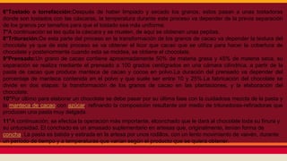 Proceso productivo del chocolate (cacao) | PPTX