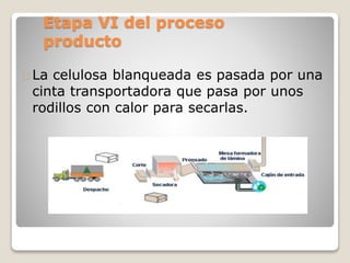 Proceso productivo del papel | PPTX