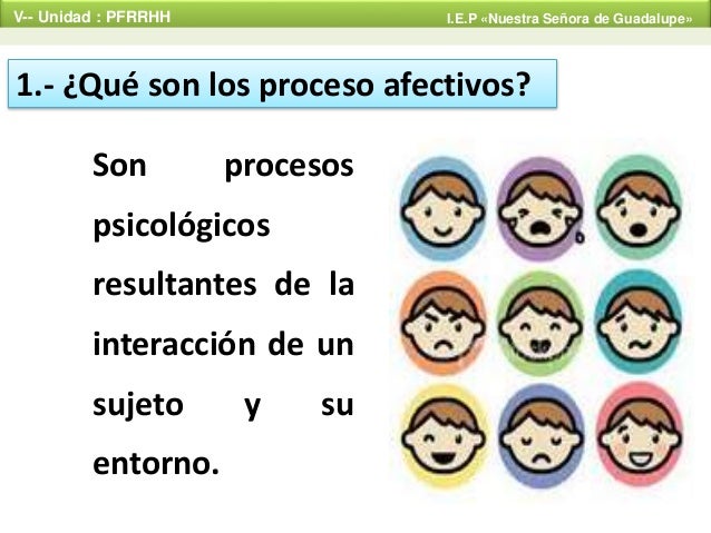 Procesos afectivos