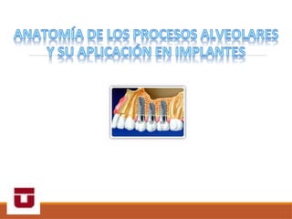 Anatomia de los procesos alveolares y su aplicacion | PPTX