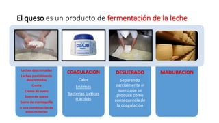 Procesos Biotecnológicos en la Fabricación de Quesos (1).pptx