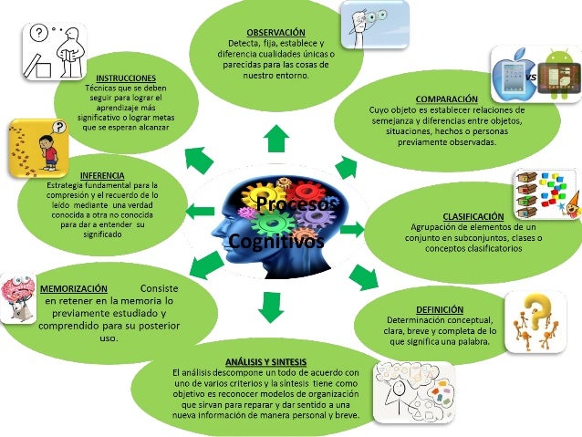 Procesos cognitivos básicos