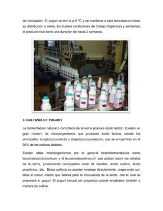 Procesos de elaboración del yogurt maira | DOCX
