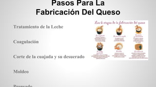 Procesos de la fabricación del queso | PPTX