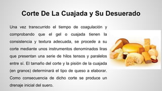 Procesos de la fabricación del queso | PPTX