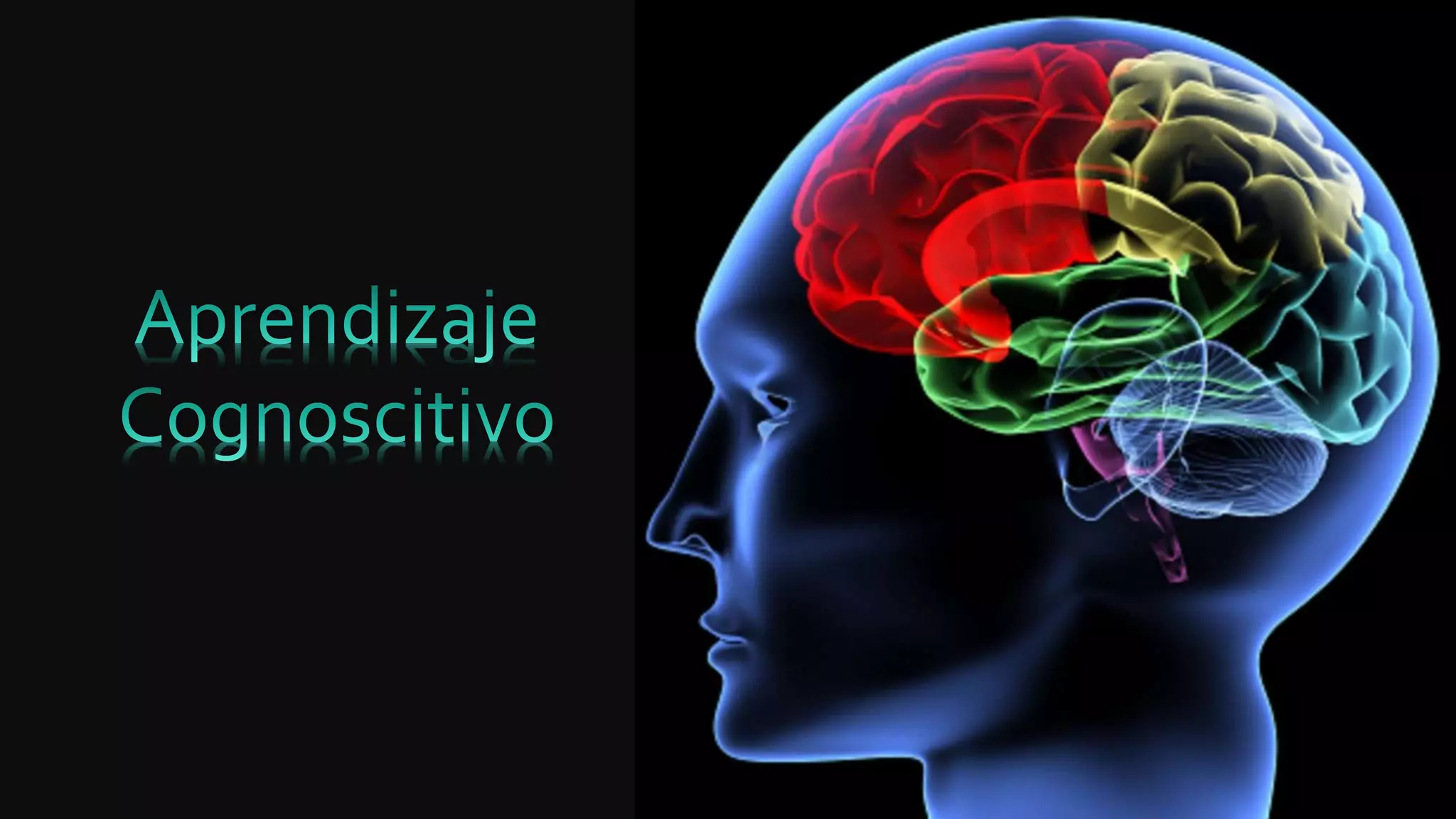 Procesos del aprendizaje Cognoscitivo 1.pptx
