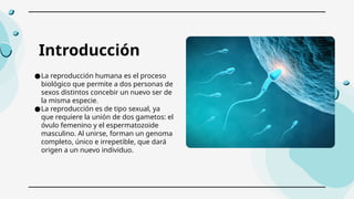 Procesos de reproducción y desarrollo.pptx