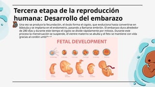 Procesos de reproducción y desarrollo.pptx