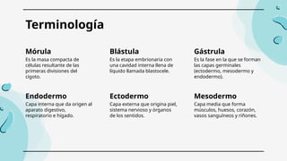 Procesos de reproducción y desarrollo.pptx