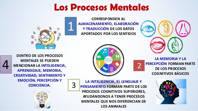 Procesos mentales