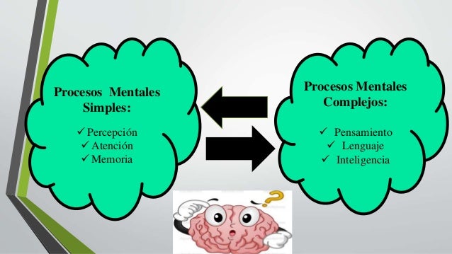 Procesos mentales