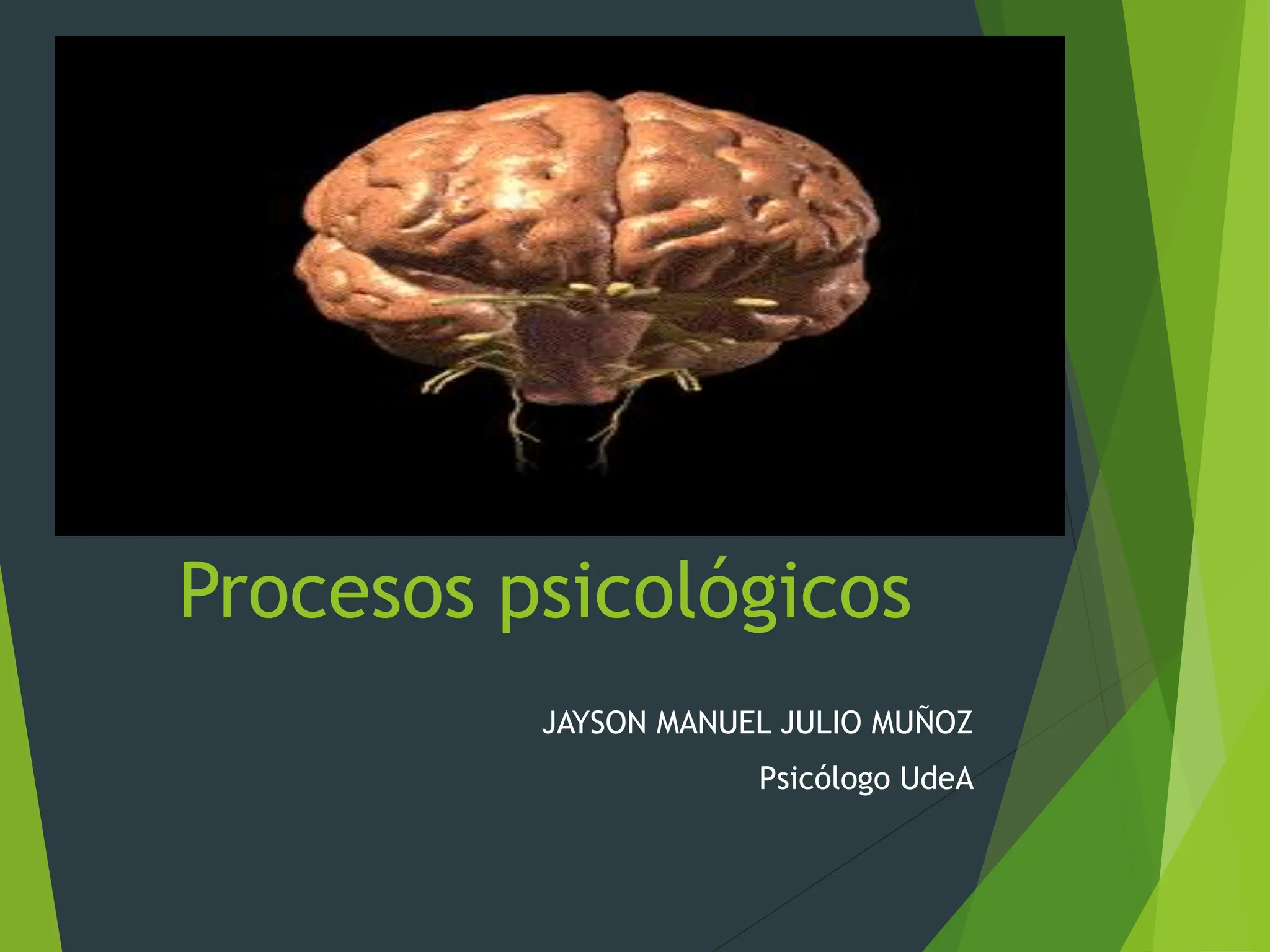 Procesos psicológicos básicos y superiores | PPT