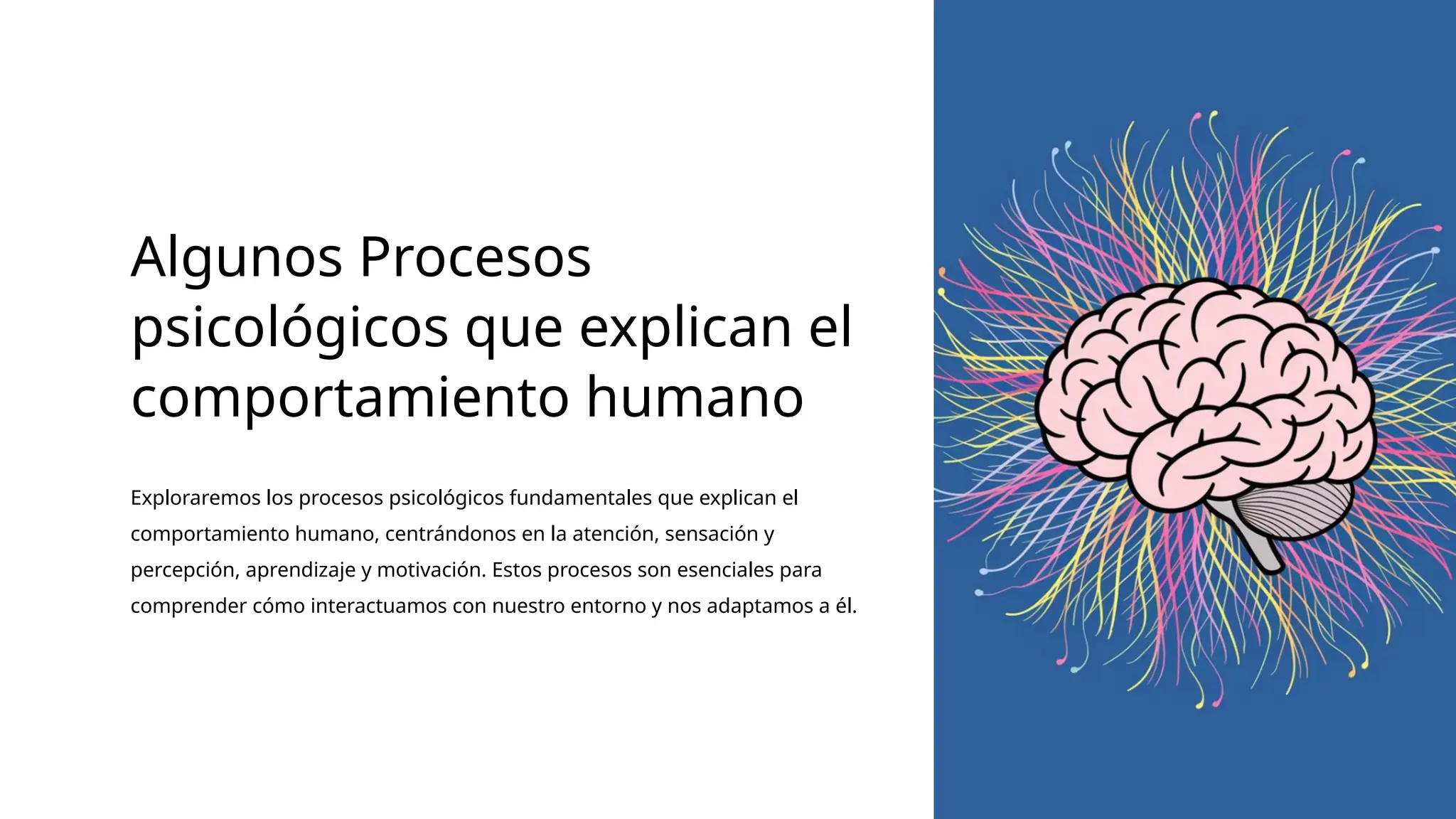 Procesos psicologicos que explican el comportamiento huamno.pptx