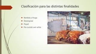 Proceso y transformacion del cuero | PPTX
