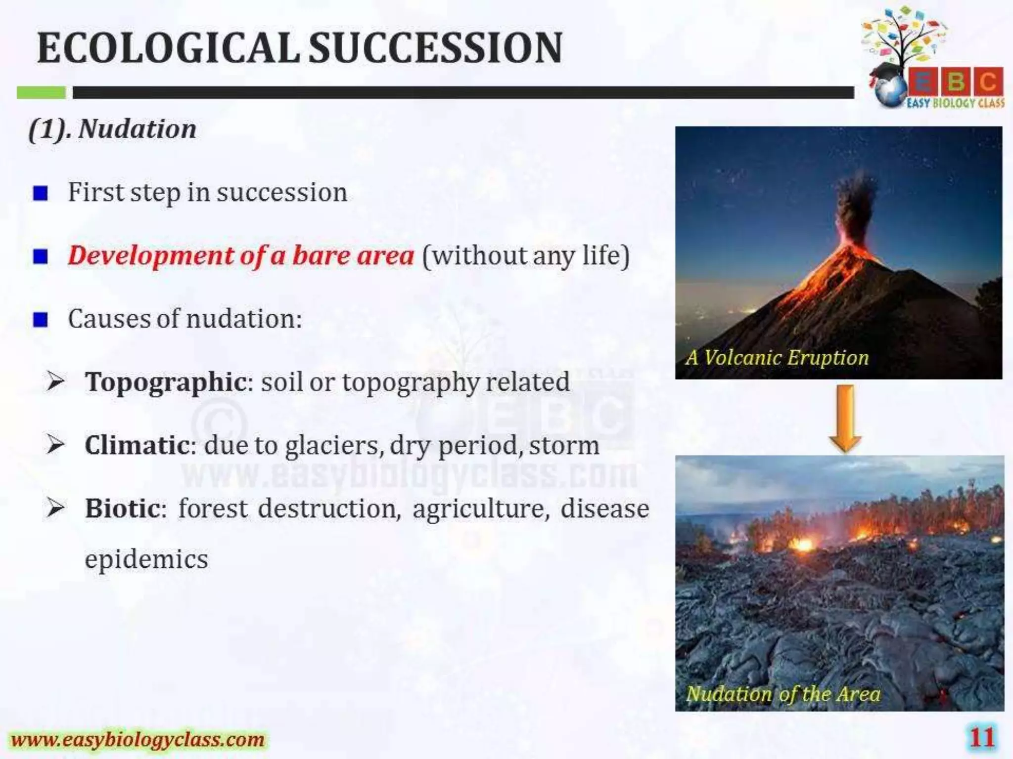 Process of-ecological-succession | PPT
