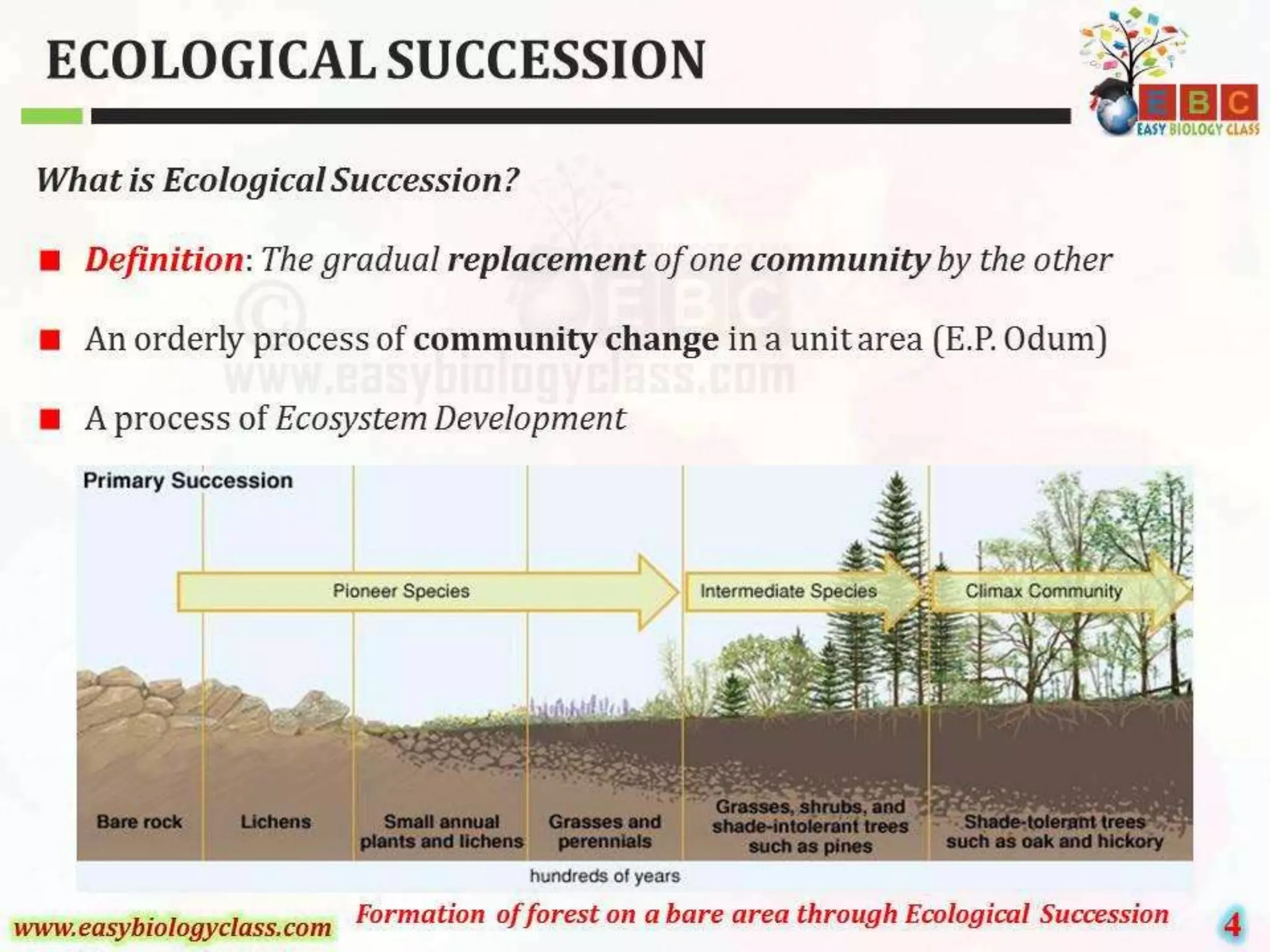 Process of-ecological-succession | PPT