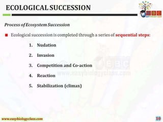 Process of-ecological-succession | PPT